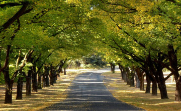 Free download Best Backgrounds wallpaper 1920x1200 57199 [1920x1200 ...