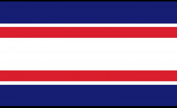 🔥 [48+] Free Buffalo Bills Wallpaper | WallpaperSafari