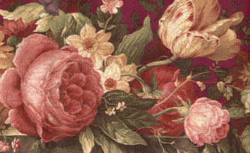 [42+] Cabbage Rose Wallpaper on WallpaperSafari