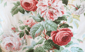 [42+] Cabbage Rose Wallpaper | WallpaperSafari.com