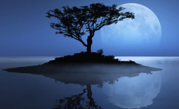 Free download Top 40 Best Free iPad Wallpapers TABLETBLORGE [1024x1024 ...