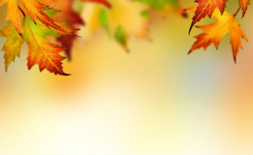 Free download October Freebie Fall Foliage Wallpaper Download Jetty ...