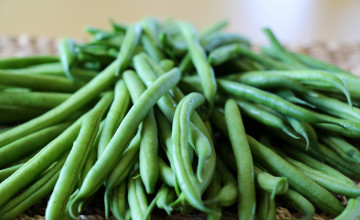 [18+] Haricot Wallpapers on WallpaperSafari