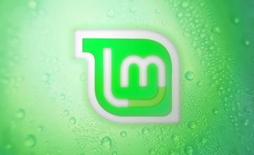 Free download Linux Mint Cinnamon Wallpaper [2560x1600] for your ...