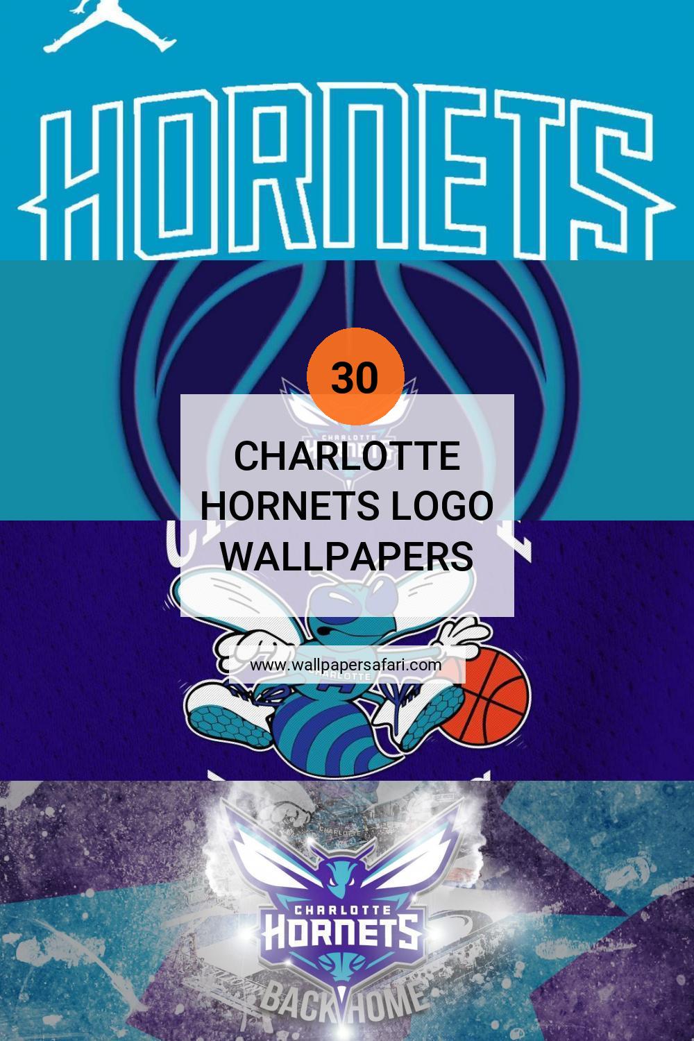🔥 [30+] Charlotte Hornets Logo Wallpapers | WallpaperSafari