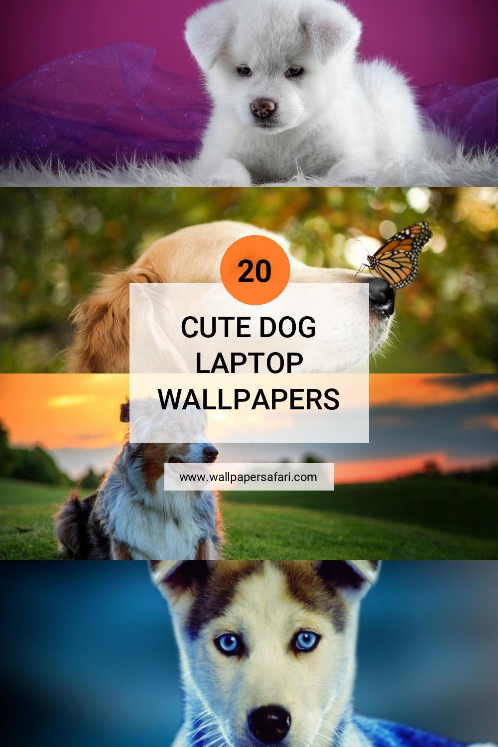 🔥 [20+] Cute Dog Laptop Wallpapers | WallpaperSafari