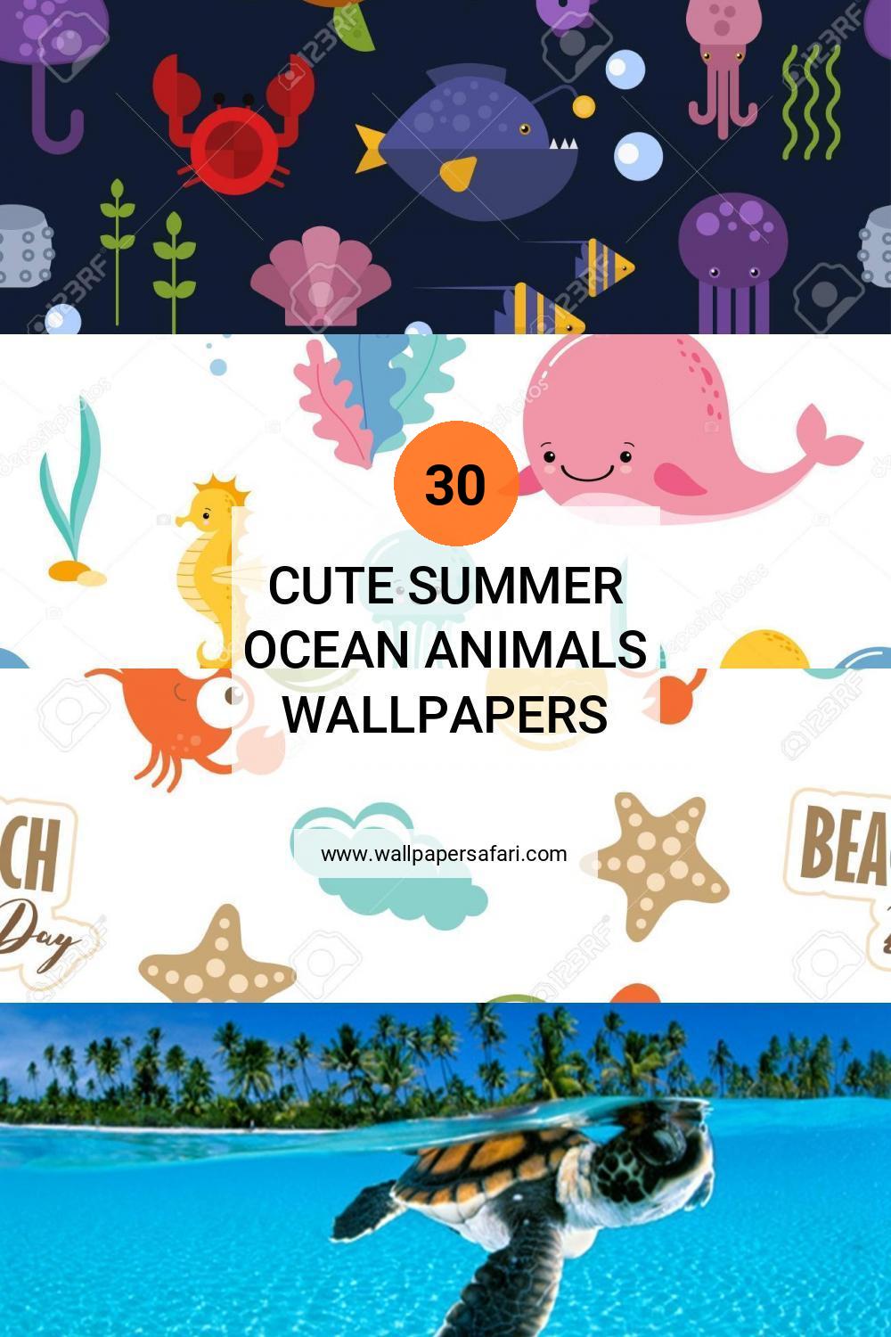 🔥 [20+] Cute Summer Ocean Animals Wallpapers | WallpaperSafari