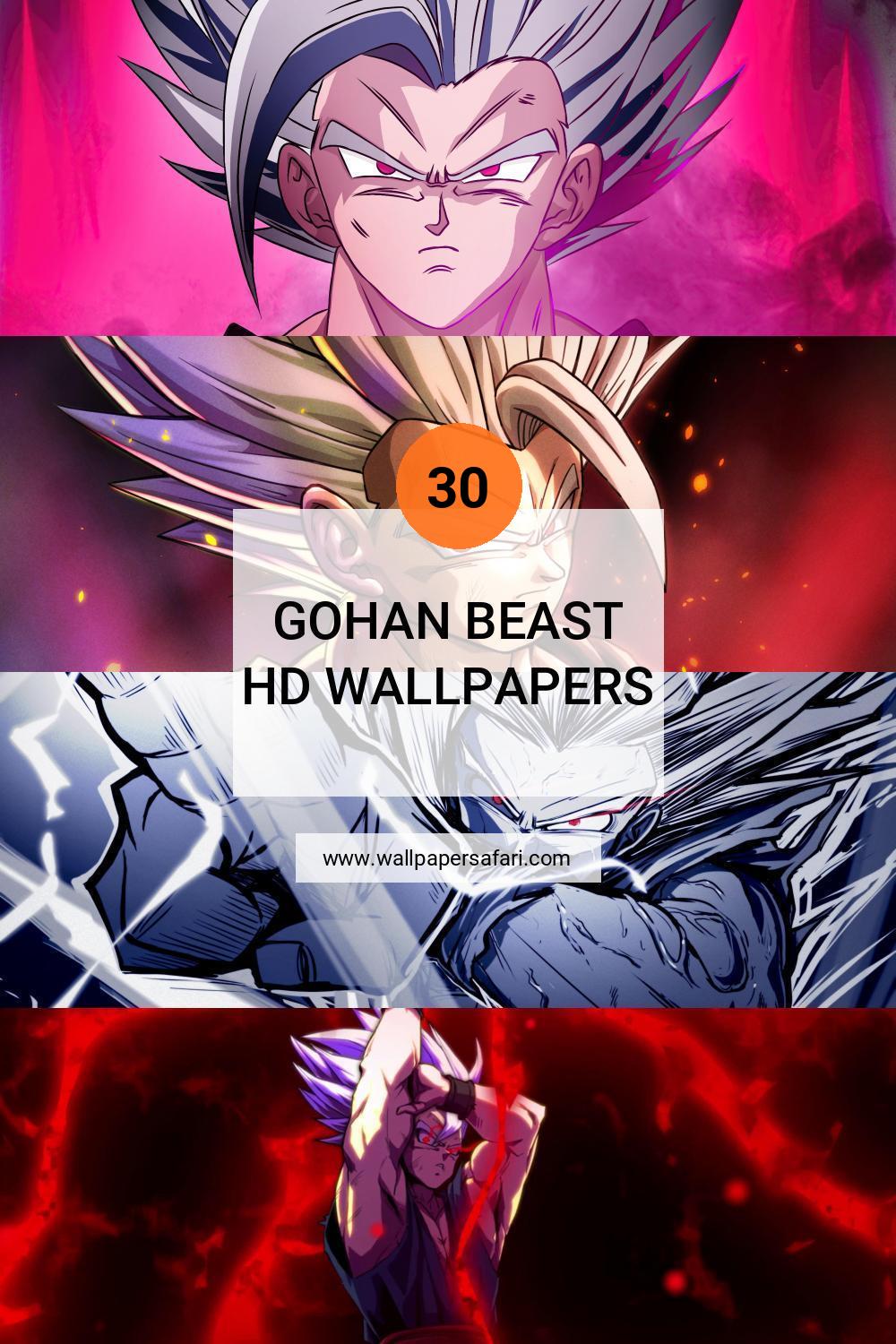 🔥 [30+] Gohan Beast HD Wallpapers | WallpaperSafari