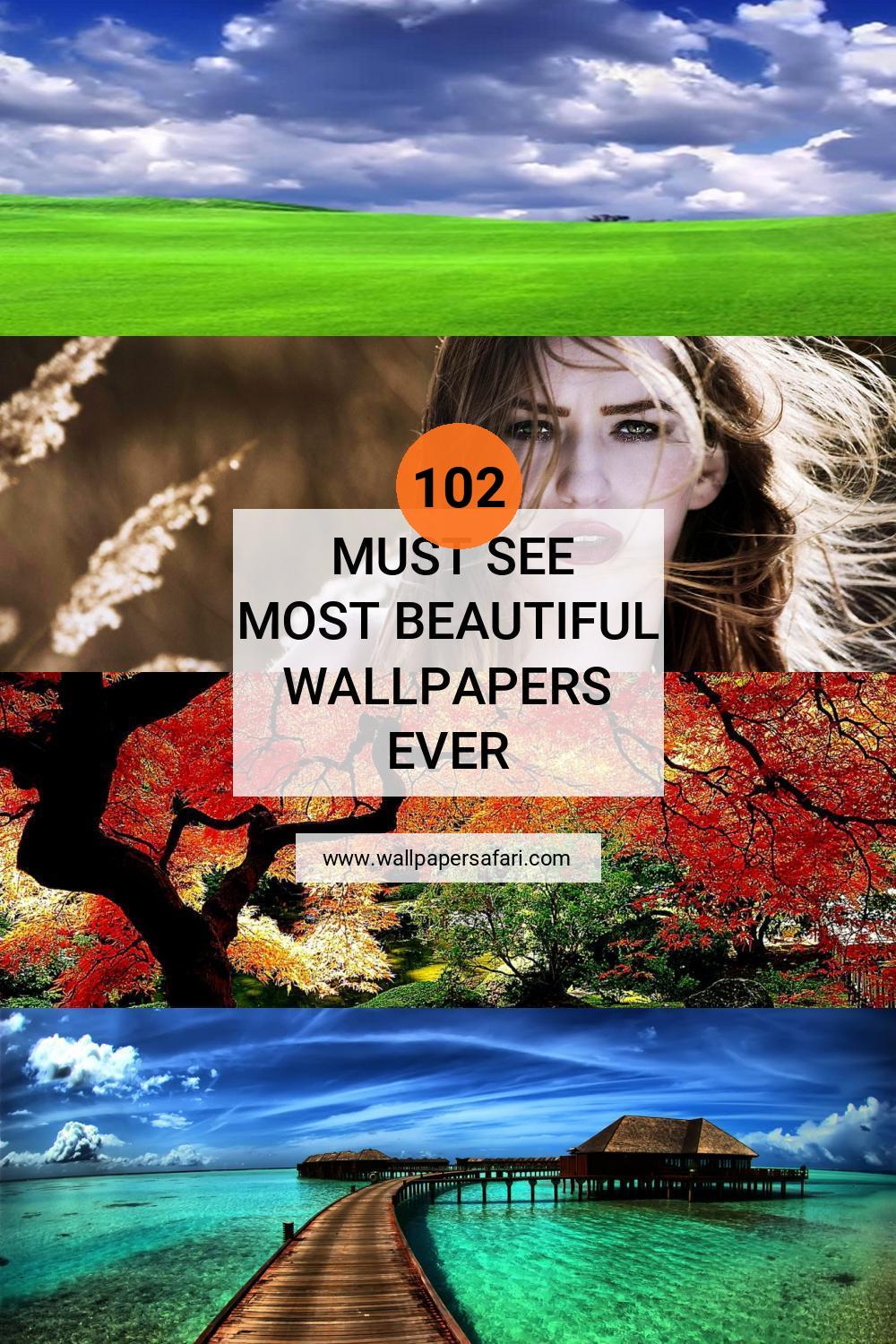 🔥 [120+] Most Beautiful Wallpapers Ever | WallpaperSafari