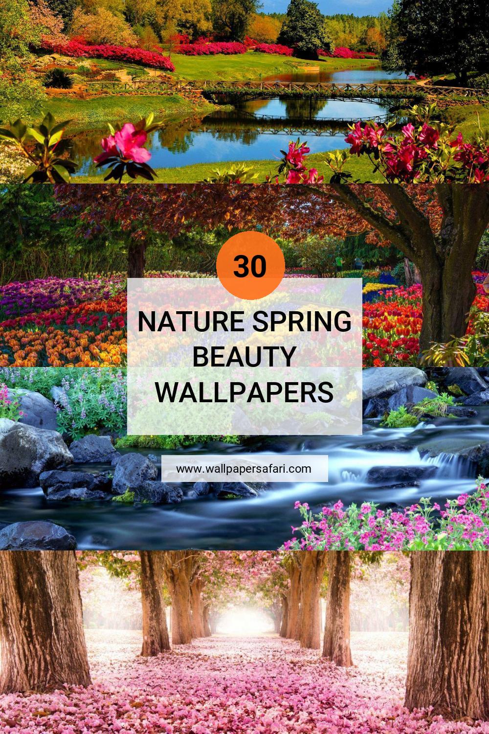 🔥 [30+] Nature Spring Beauty Wallpapers | WallpaperSafari