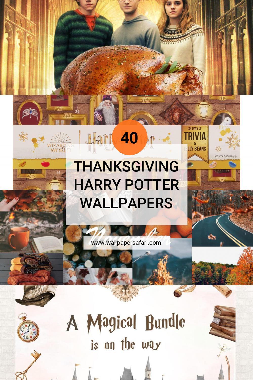 🔥 [40+] Thanksgiving Harry Potter Wallpapers | WallpaperSafari