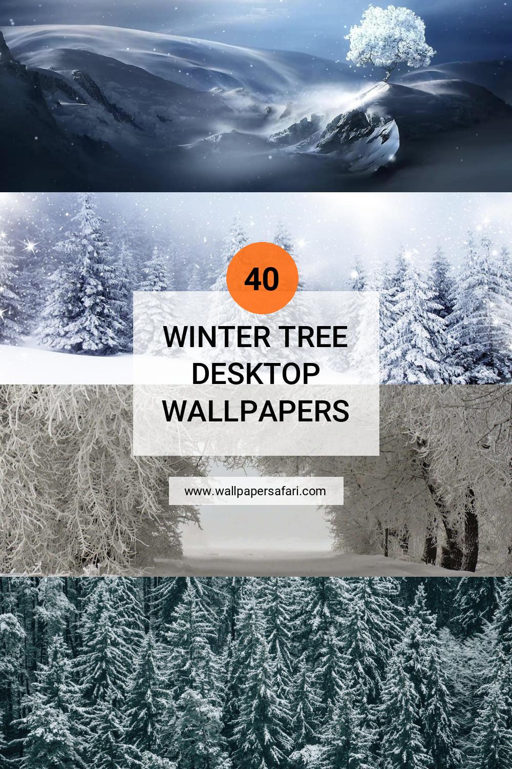 🔥 [30+] Winter Tree Desktop Wallpapers | WallpaperSafari
